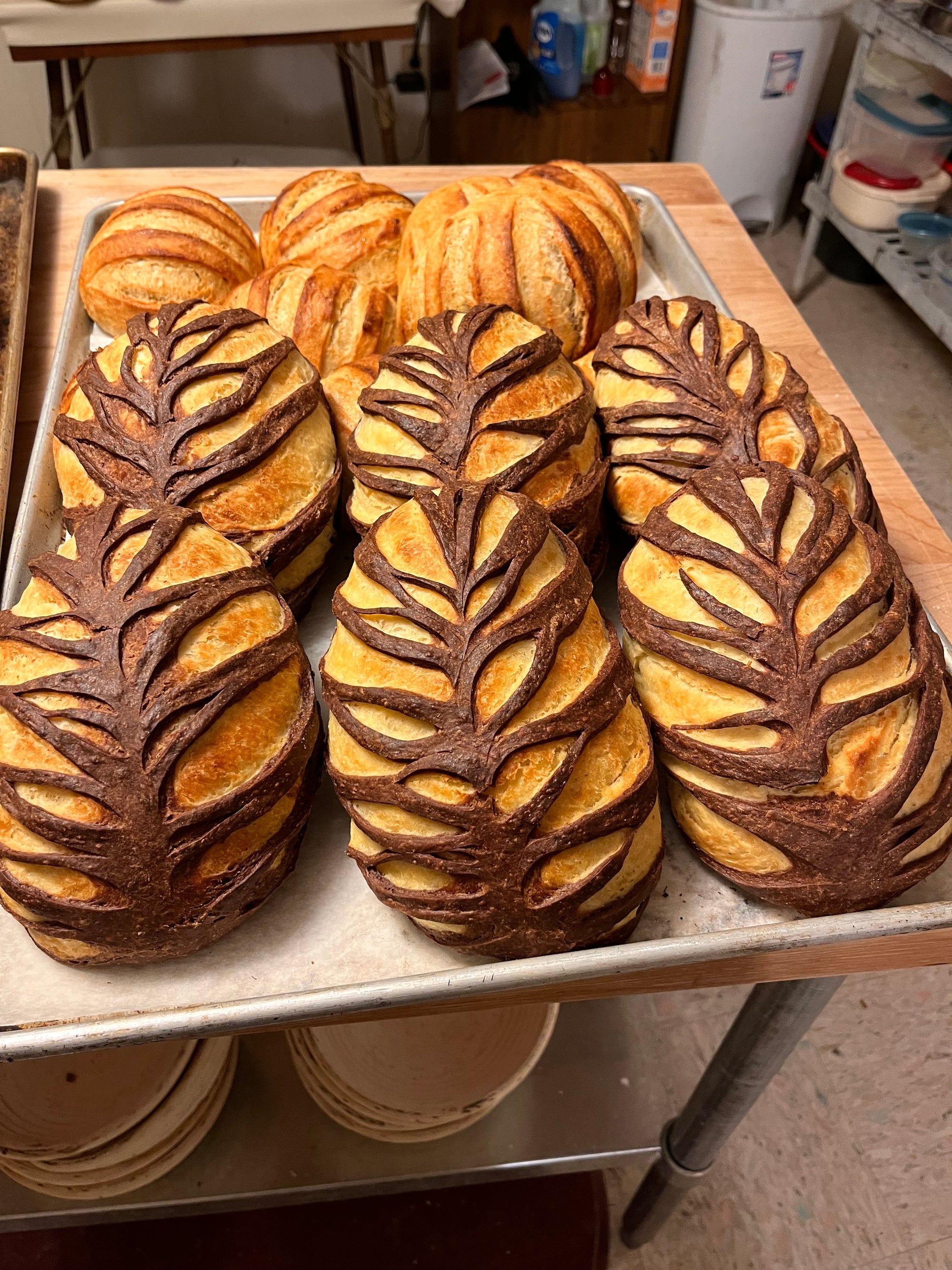 Novel Breads Co.
