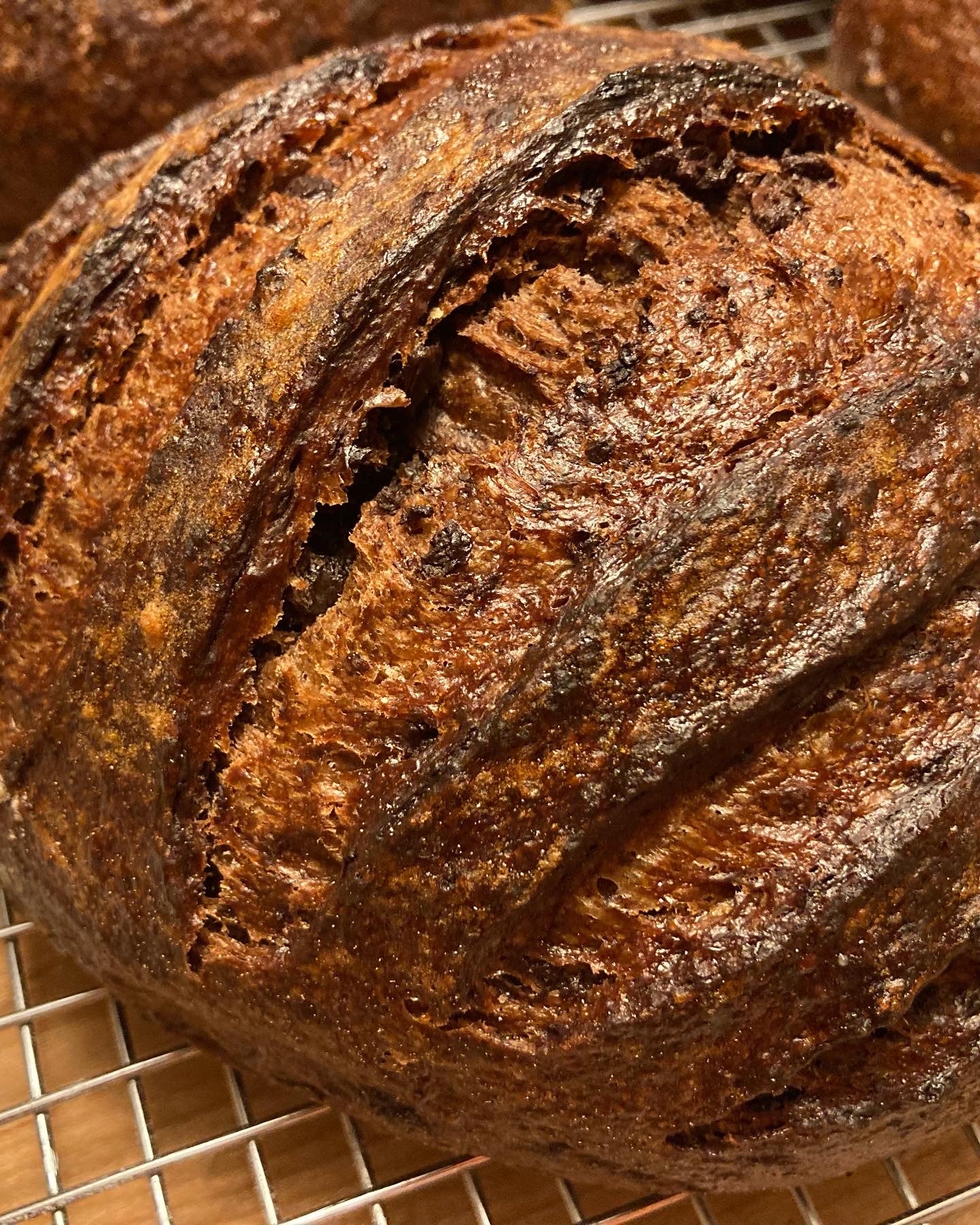 Novel Breads Co.
